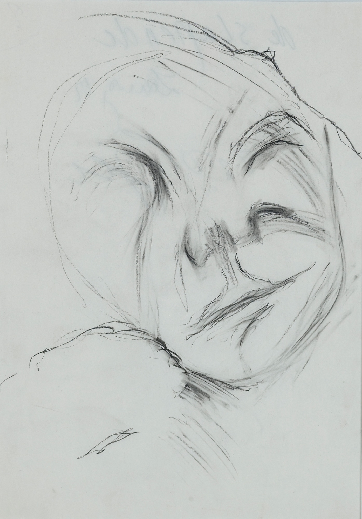 Roobjee | De slapende zanger